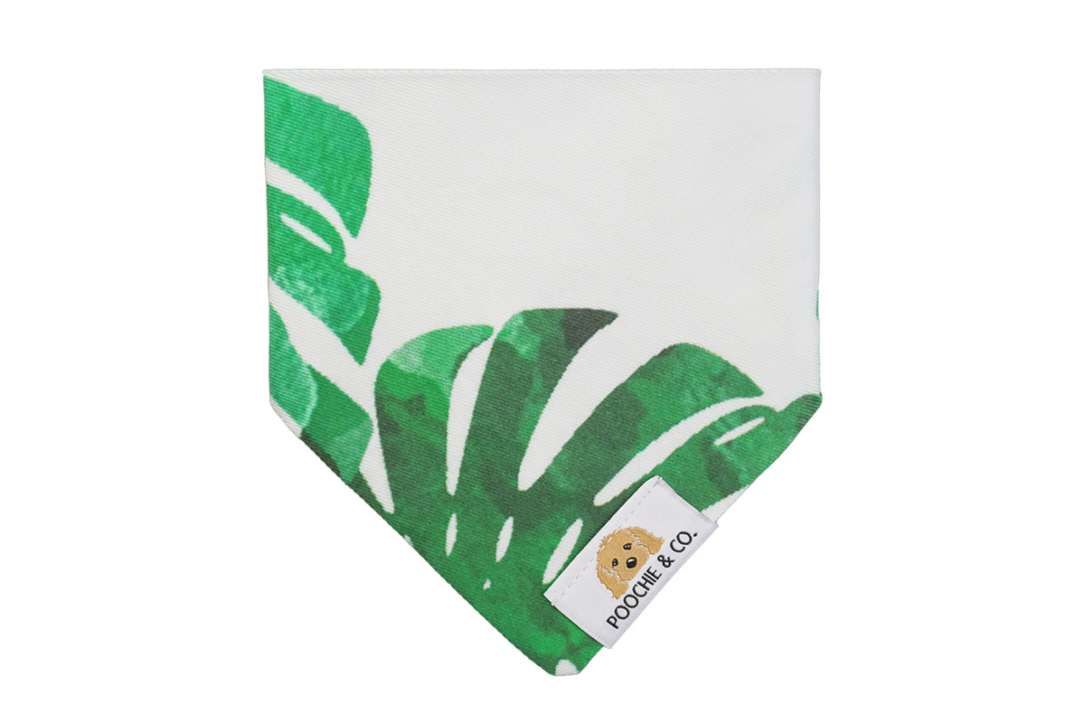 'Leaf You' Bandana – Poochie & Co.